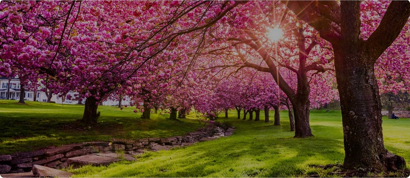 Medical & Recreational Dispensaries in New Jersey | Zen Leaf