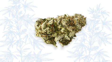 Candy Rain - Zen Leaf Dispensaries