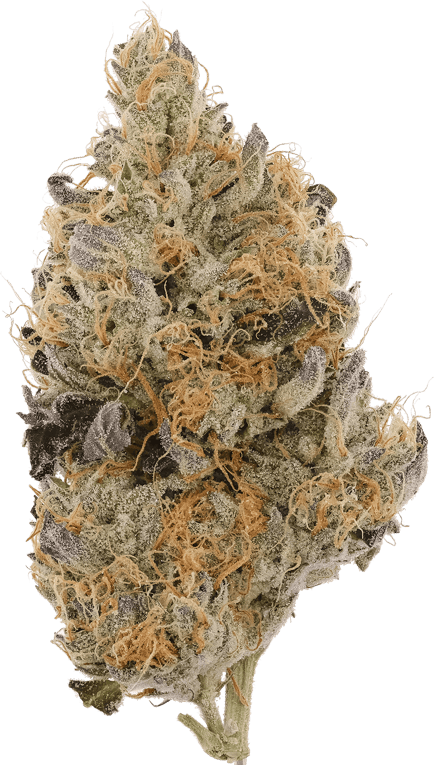 Triangle Mints - Zen Leaf Dispensaries
