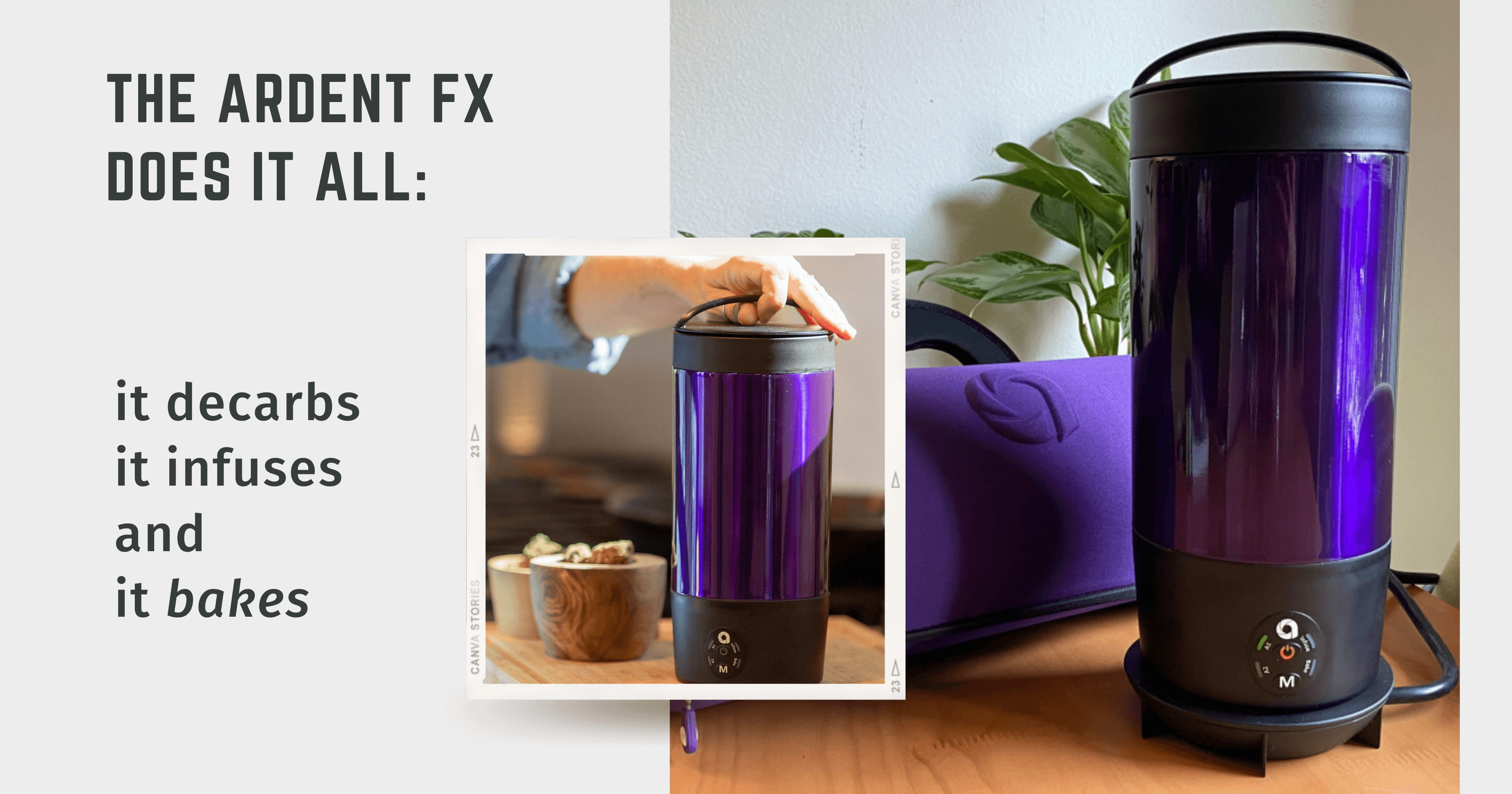 What Is Decarboxylation & How Does It Work?| Zen Leaf