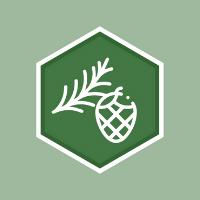 What are Cannabis Terpenes: Types, Effects, & Uses | Zen Leaf