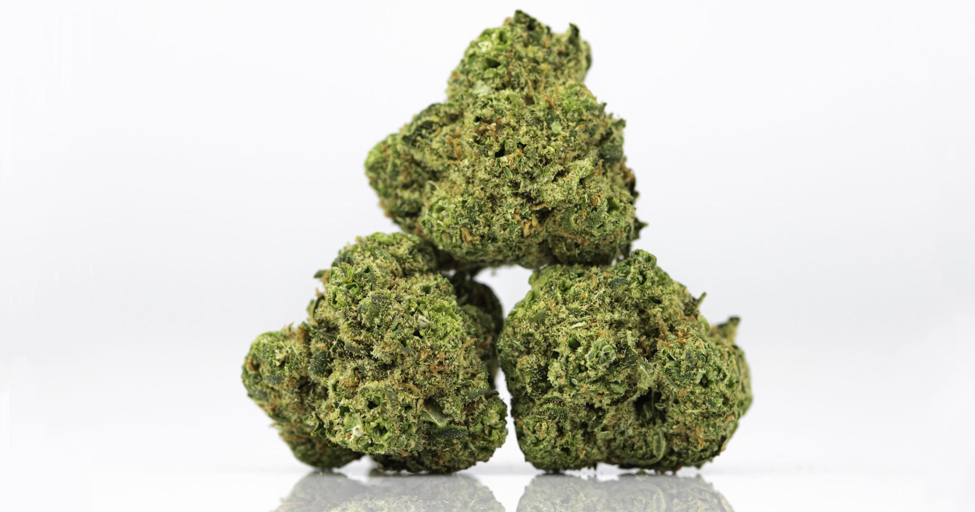 Cannabis Strains | Understanding Different Marijuana Strains