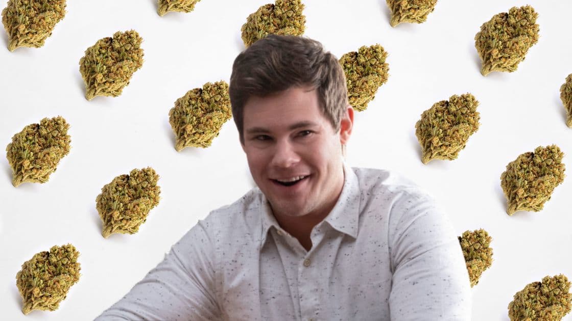 Celeb Halloween Cannabis Costume Ideas | Zen Leaf
