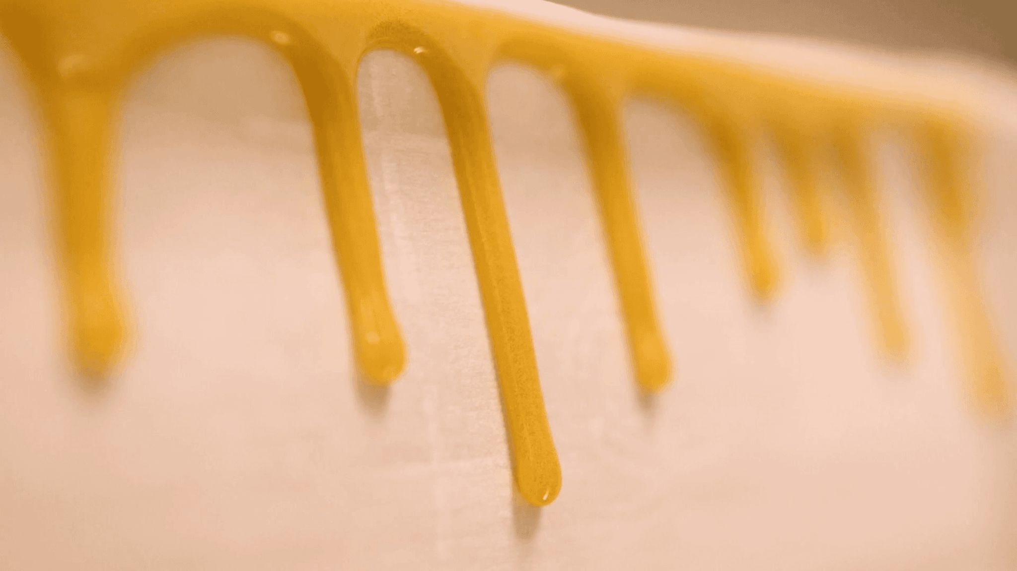 BITS Gummies + Adaptogens | Zen Leaf