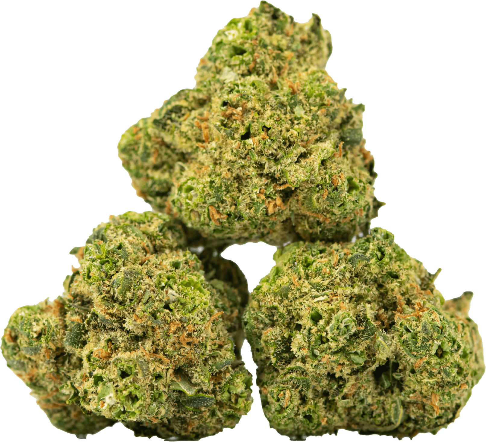 A Cannabis Strain Educational Guide | Marijuana Strains