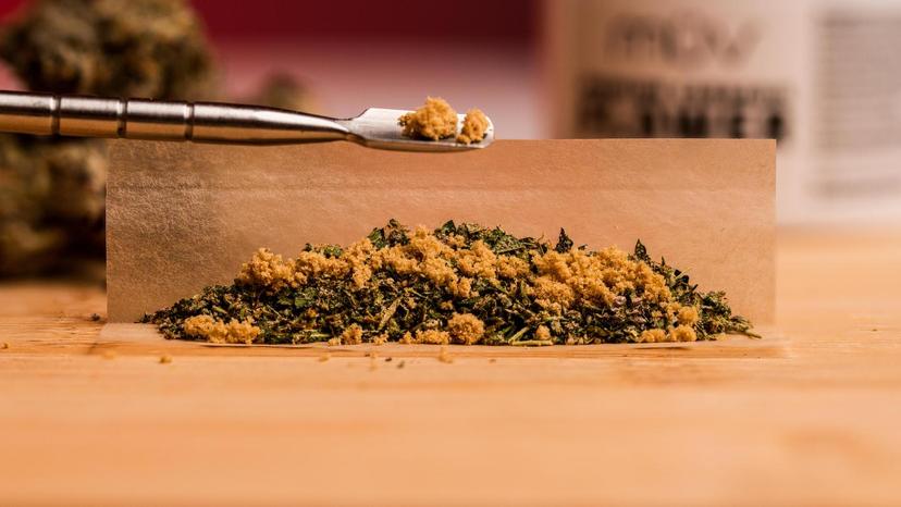 What is Cannabis Shake, How is It Made & How Do You Smoke It? - Zen ...