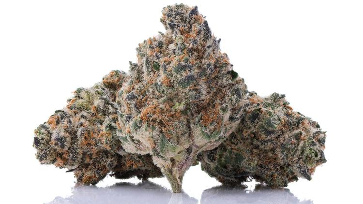 Popcorn Flower: What Are Popcorn Nugs & Are They Worth It? | Zen Leaf