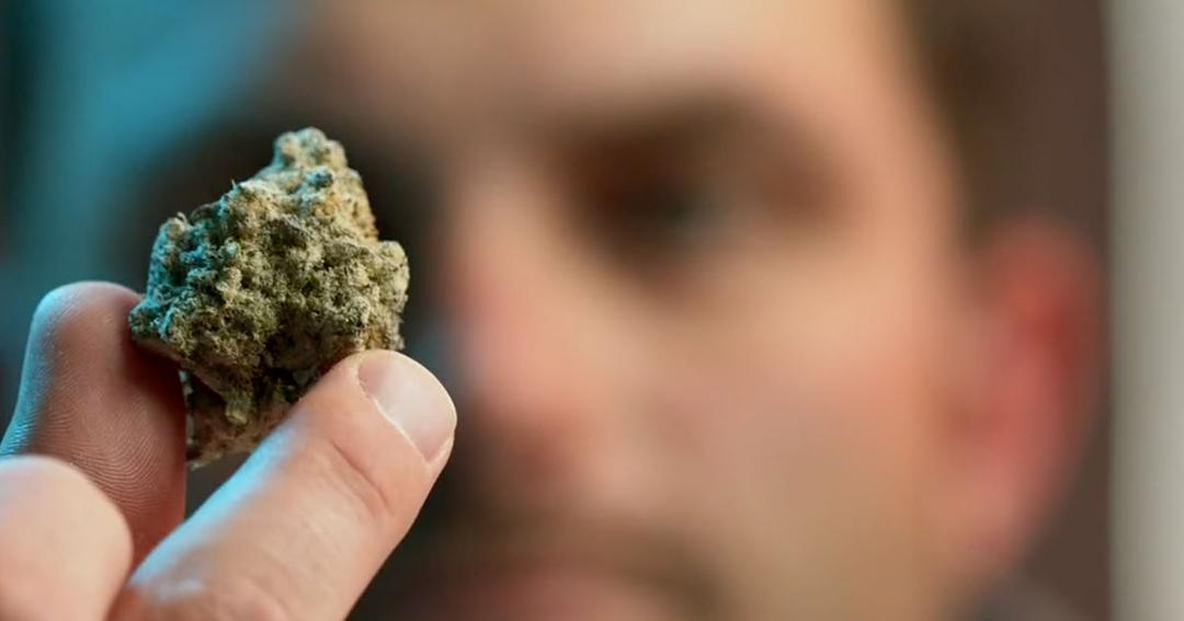 10 Best Indica Cannabis Strains (2025) | Zen Leaf