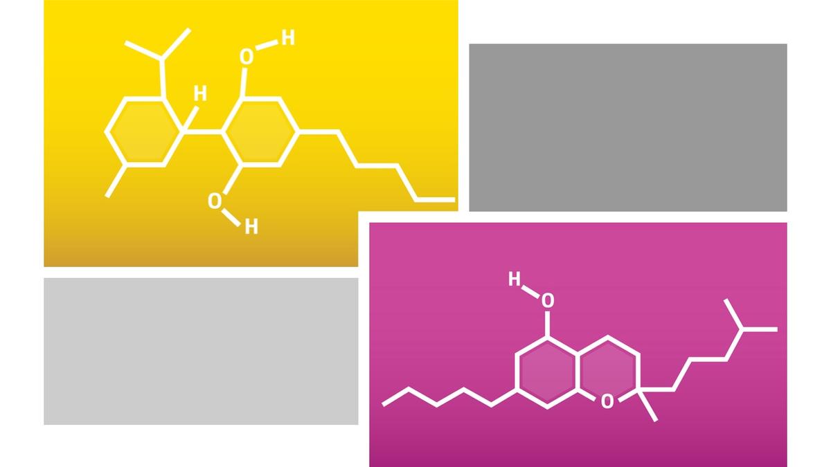CBC vs. CBD: What's the Difference? | Zen Leaf