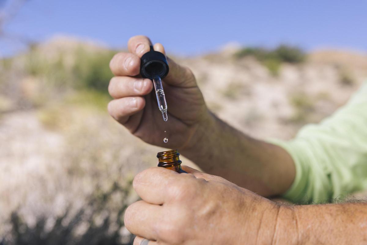 BITS Gummies + Adaptogens | Zen Leaf