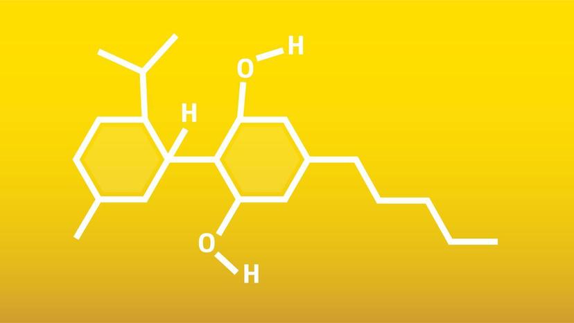 THC vs. CBN: Comparing Effects, Benefits, Uses, & Legality