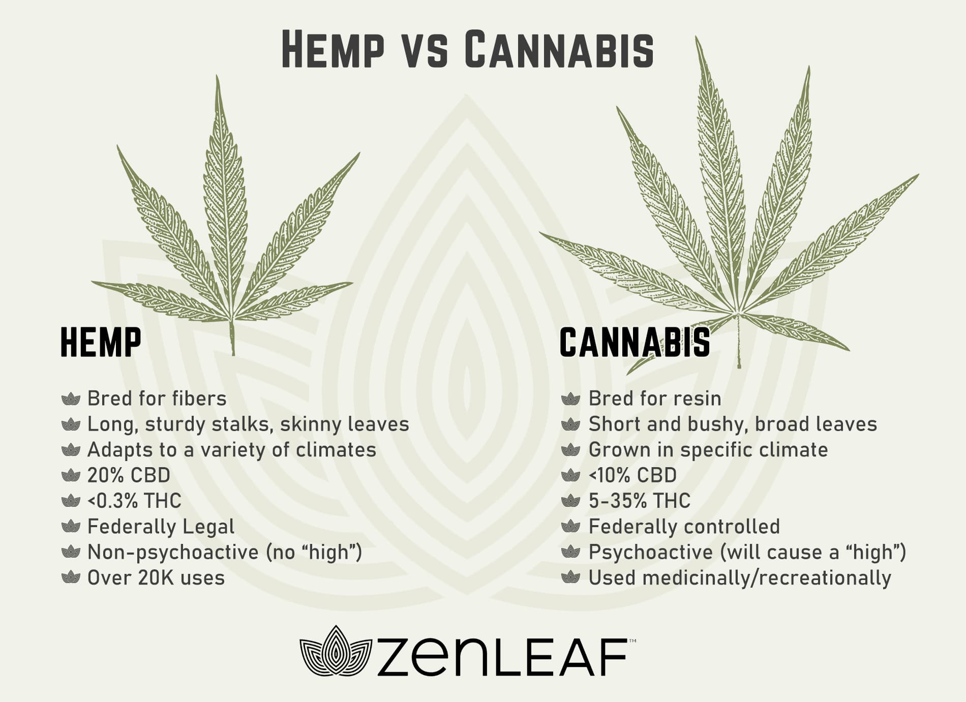 Hemp vs. Marijuana: What's The Difference? | Zen Leaf