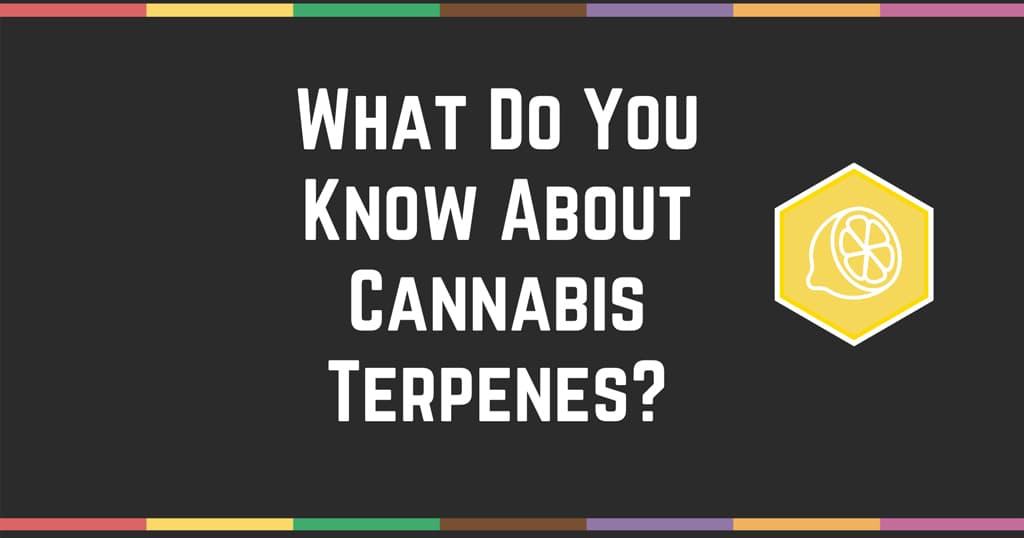 What are Cannabis Terpenes: Types, Effects, & Uses | Zen Leaf