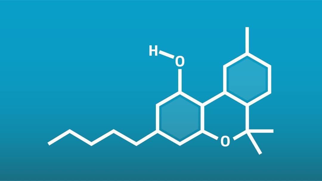 Natural vs. Synthetic Cannabinoids: What You Should Know