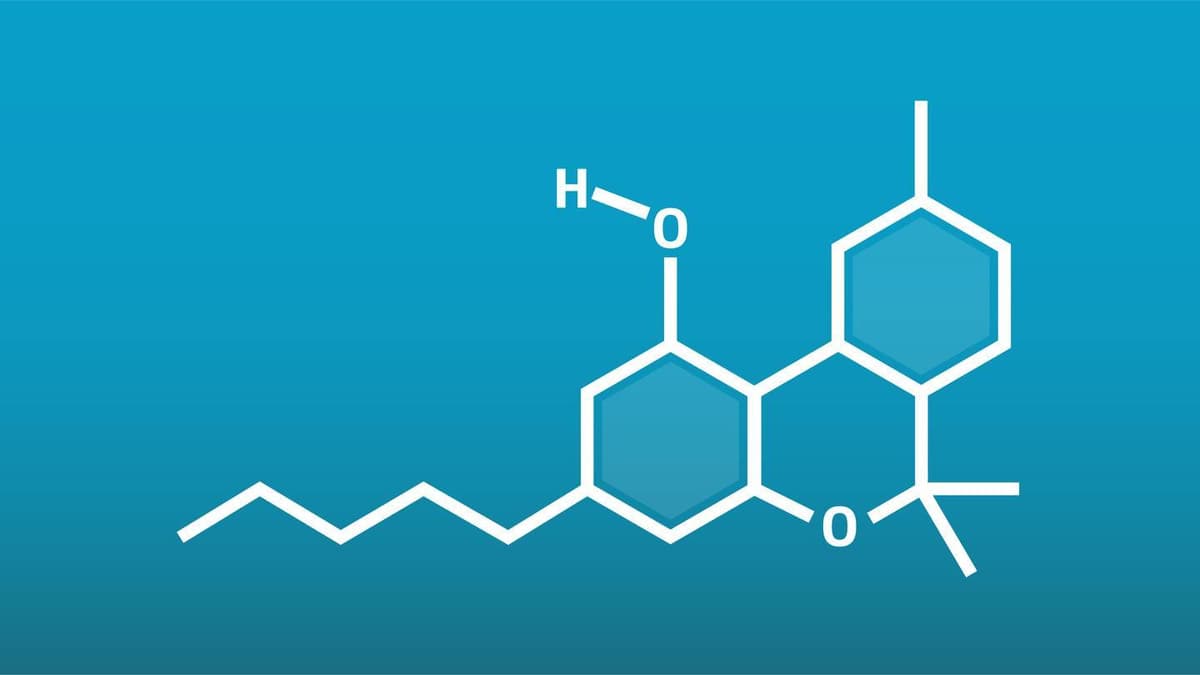 Natural vs. Synthetic Cannabinoids: What You Should Know