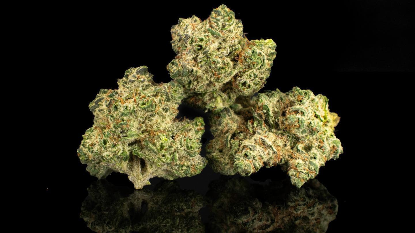 10 Cannabis Strains That Will Make You Laugh | Zen Leaf