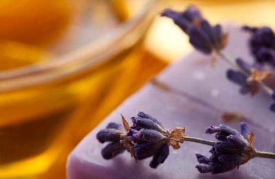 Cannabis Terpene Guide | Different Types of Terpenes